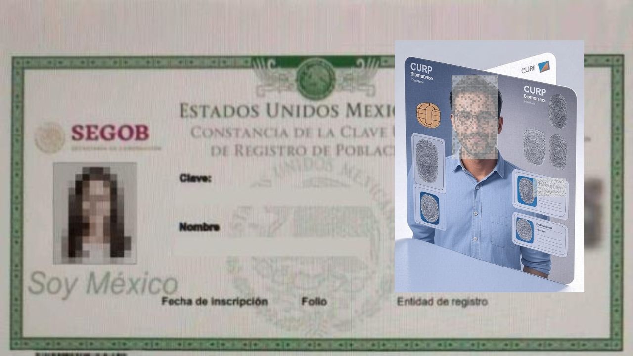 Todo lo que necesitas saber sobre el CURP biométrico - RexNews